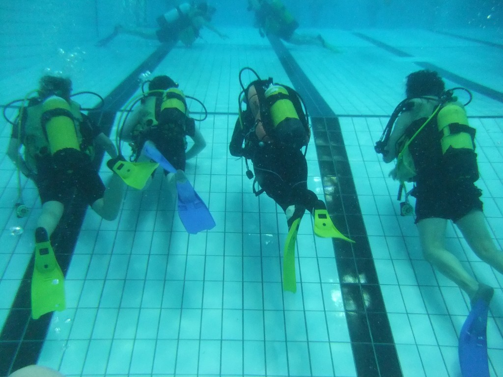 On your marks, get set, try-dive!!